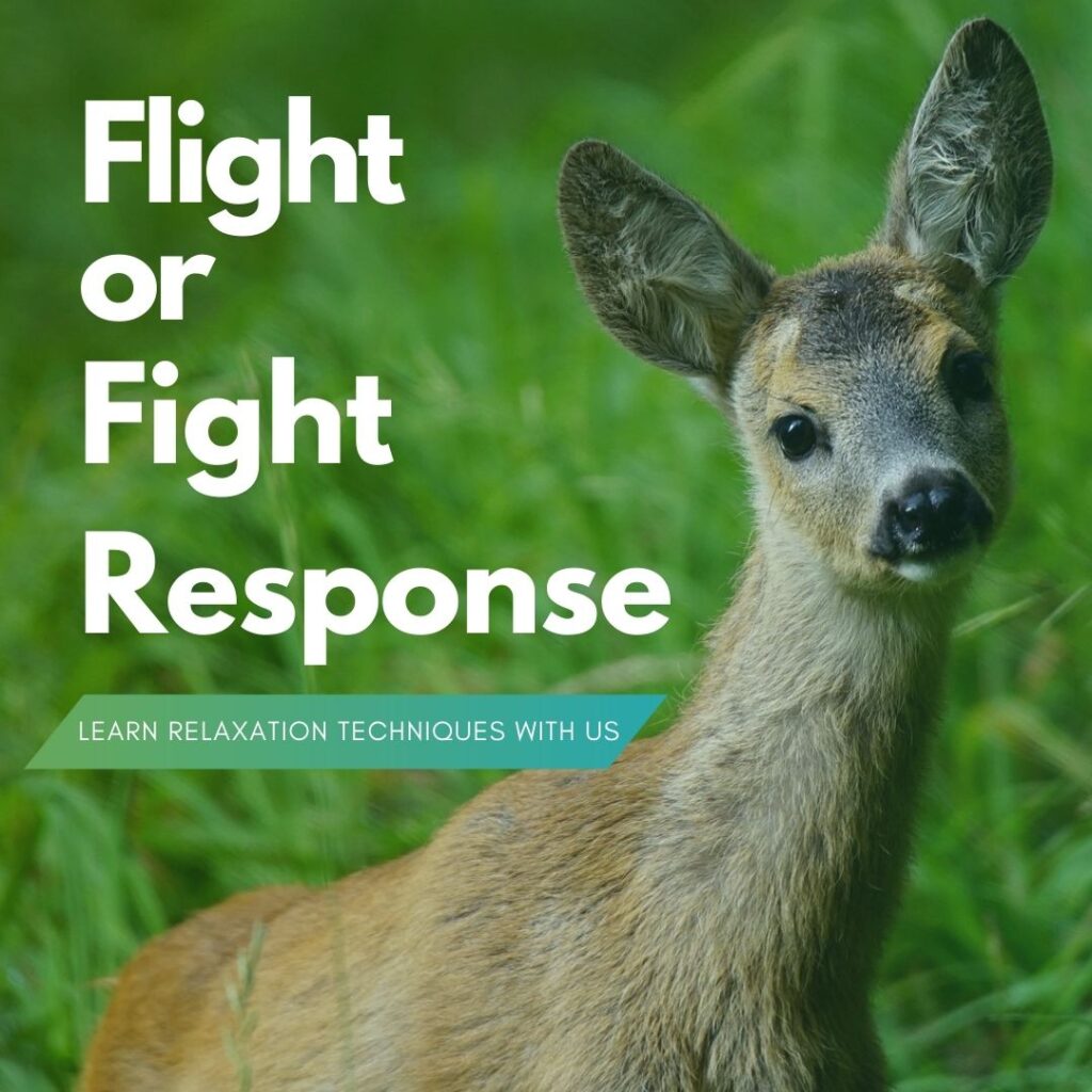 Fight or Flight and Relaxation Techniques - Health Bound Health Network